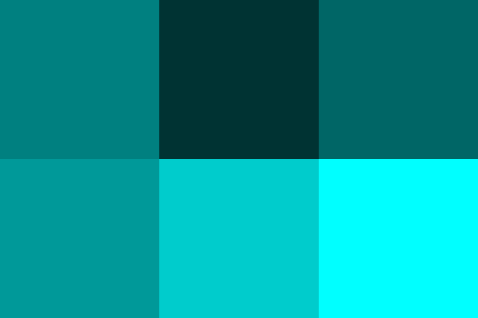 #008080の配色パターン 色の組み合わせ- 原色大辞典