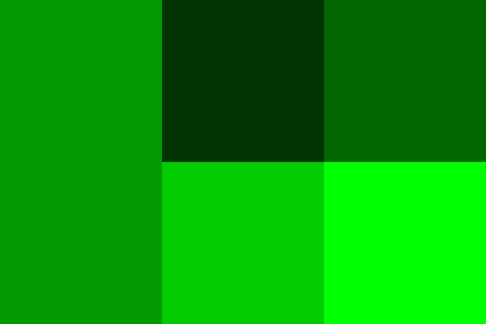 #009900の配色パターン 色の組み合わせ- 原色大辞典