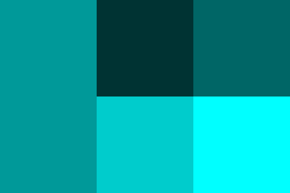 #009999の配色パターン 色の組み合わせ- 原色大辞典