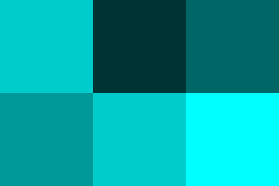 #00ccccの配色パターン 色の組み合わせ- 原色大辞典