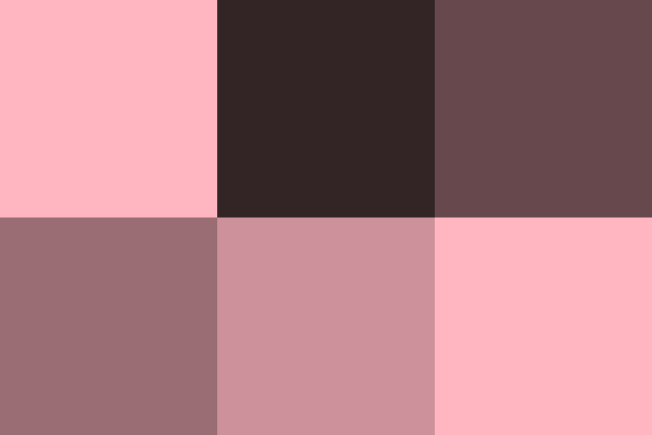 lightpinkの配色パターン 色の組み合わせ- 原色大辞典