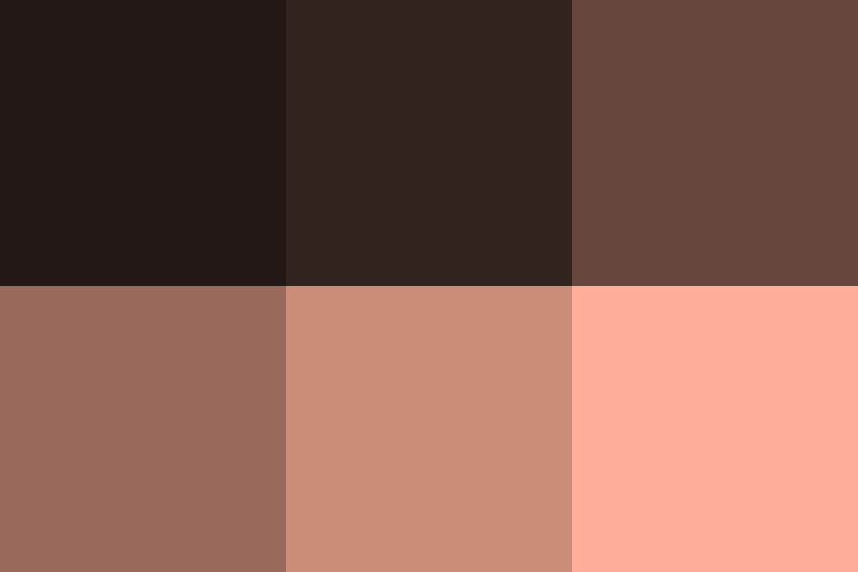 #231815の配色パターン 色の組み合わせ- 原色大辞典