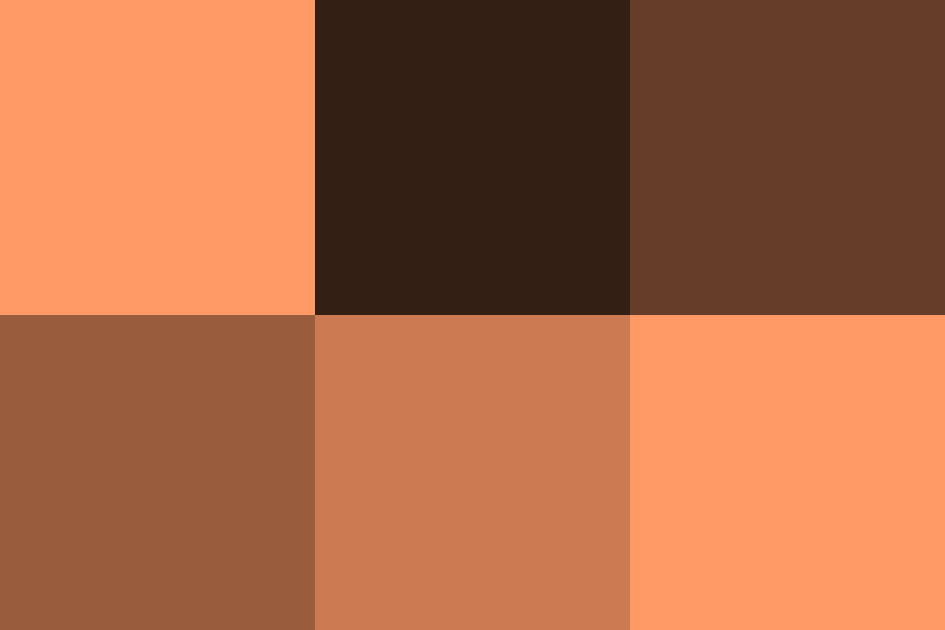 #ff9966の配色パターン 色の組み合わせ- 原色大辞典