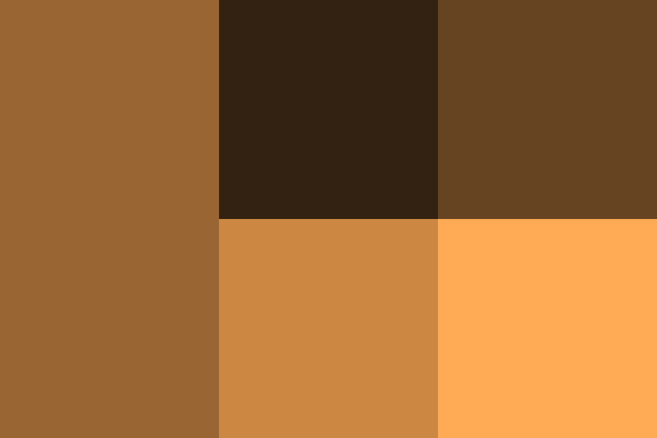 #996633の配色パターン 色の組み合わせ- 原色大辞典