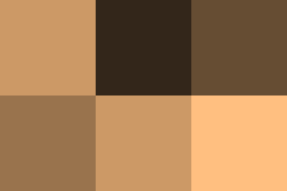 #cc9966の配色パターン 色の組み合わせ- 原色大辞典