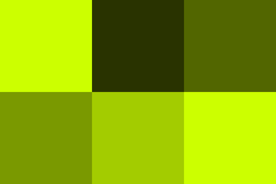 #ccff00の配色パターン 色の組み合わせ- 原色大辞典