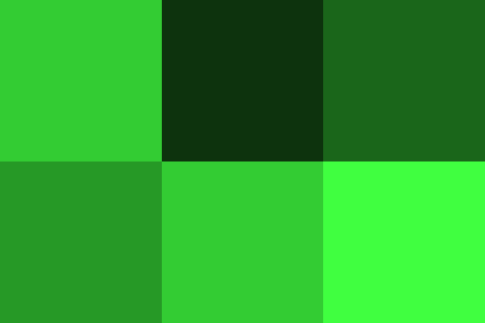 #33cc33の配色パターン 色の組み合わせ- 原色大辞典