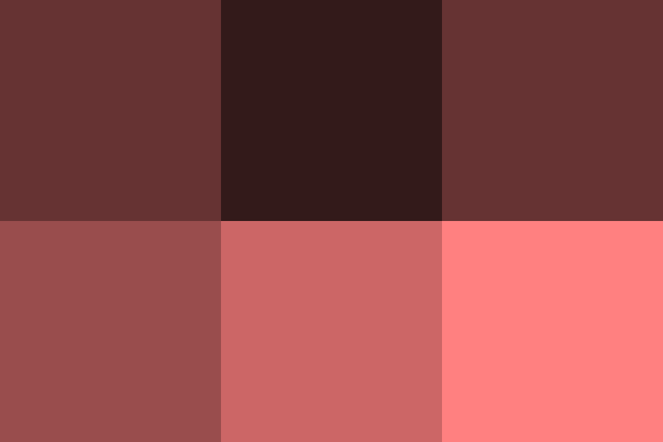 #663333の配色パターン 色の組み合わせ- 原色大辞典