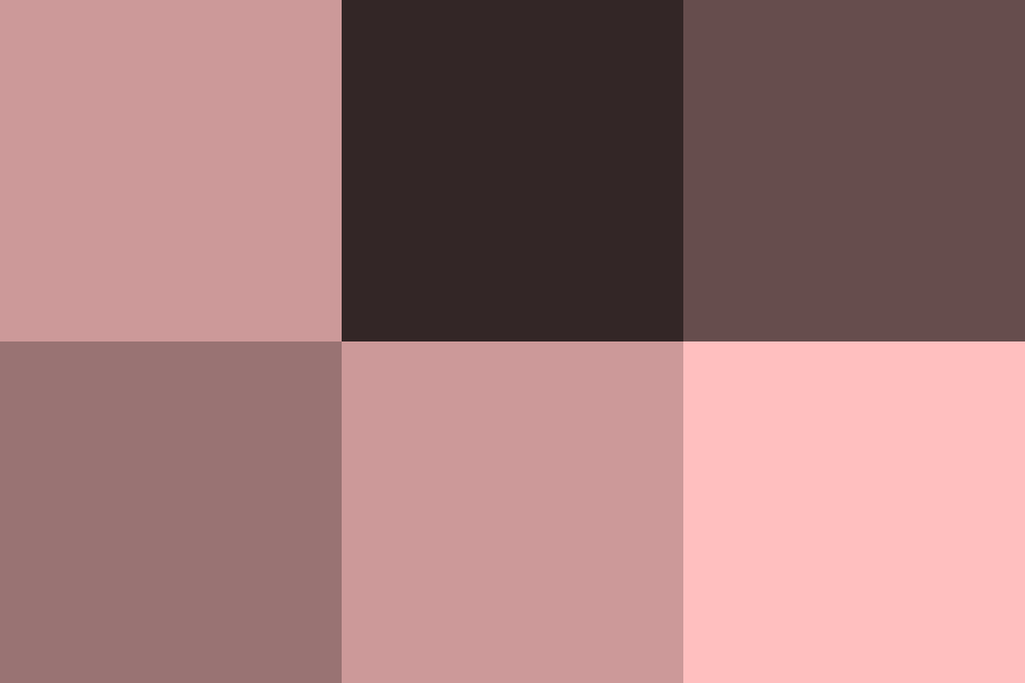 #cc9999の配色パターン 色の組み合わせ- 原色大辞典