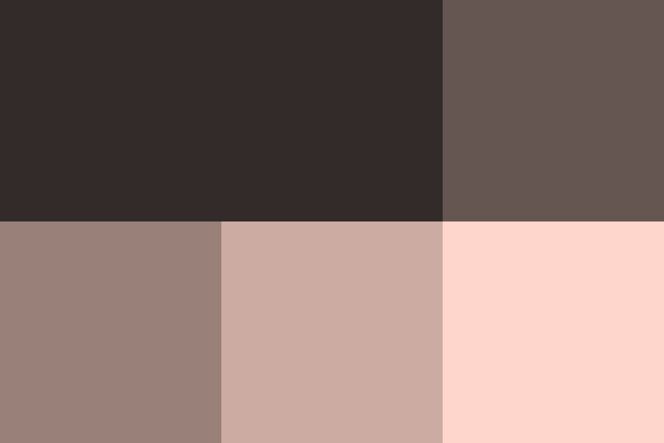 #332b29の配色パターン 色の組み合わせ- 原色大辞典