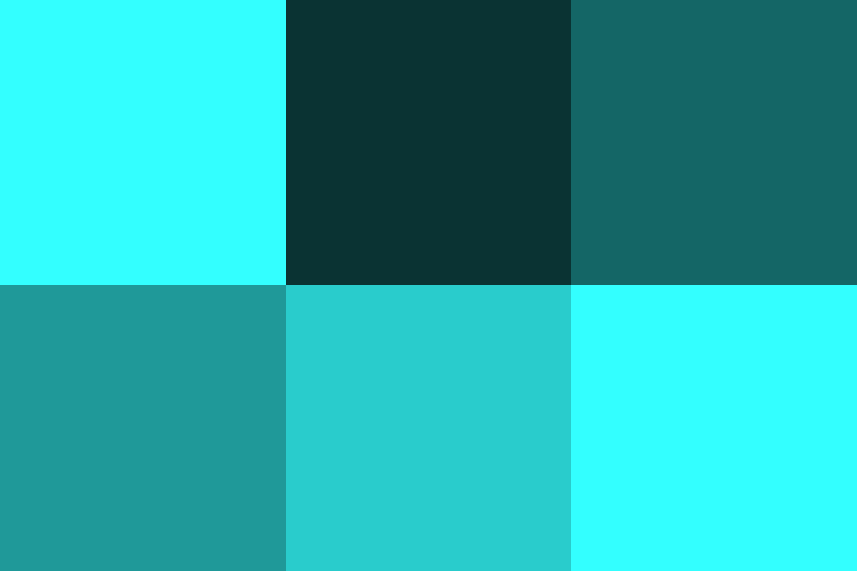 #33ffffの配色パターン 色の組み合わせ- 原色大辞典