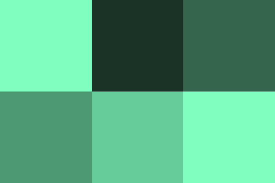 #7fffbfの配色パターン 色の組み合わせ- 原色大辞典