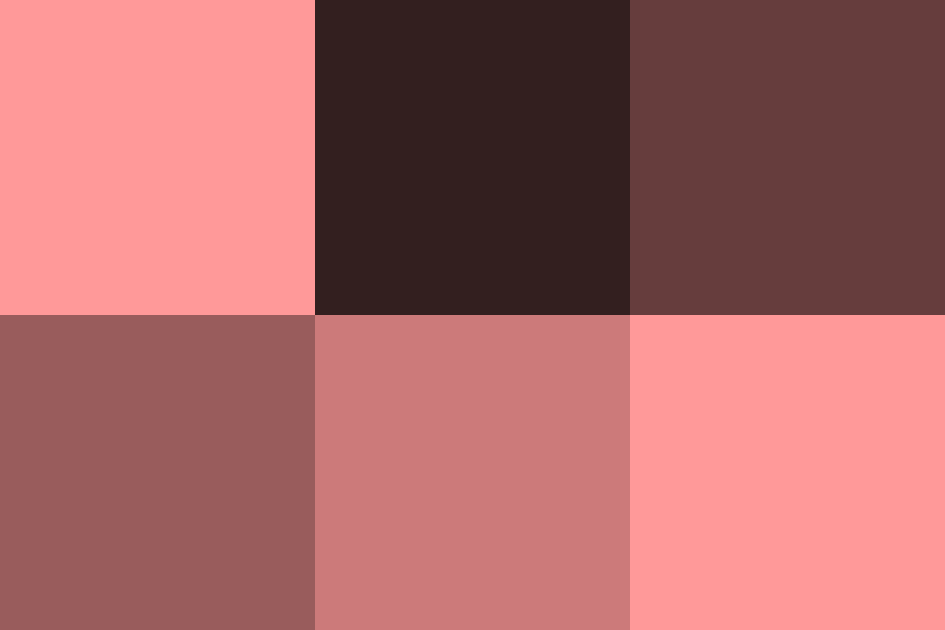 #ff9999の配色パターン 色の組み合わせ- 原色大辞典