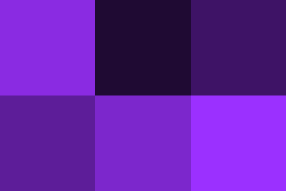 #8a2be2の配色パターン 色の組み合わせ- 原色大辞典