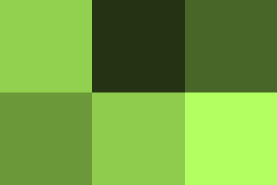 #92d050の配色パターン 色の組み合わせ- 原色大辞典