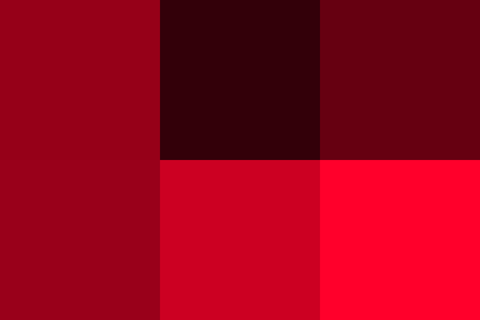 #960018の配色パターン 色の組み合わせ- 原色大辞典