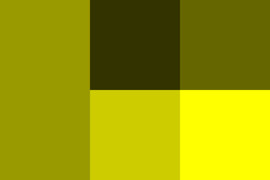 #999900の配色パターン 色の組み合わせ- 原色大辞典