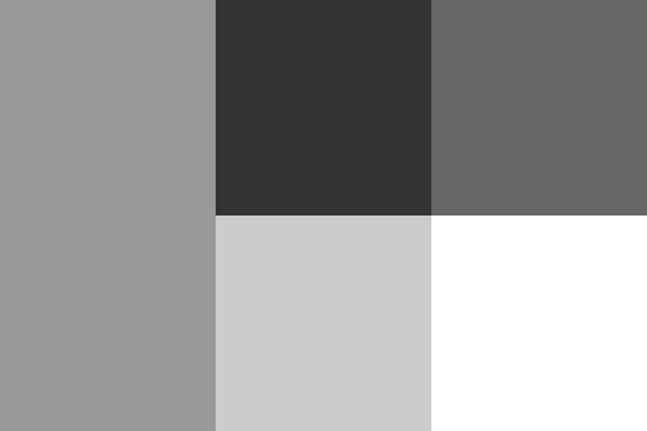 #999999の配色パターン 色の組み合わせ- 原色大辞典