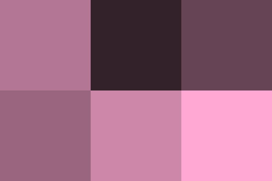 #b37694の配色パターン 色の組み合わせ- 原色大辞典