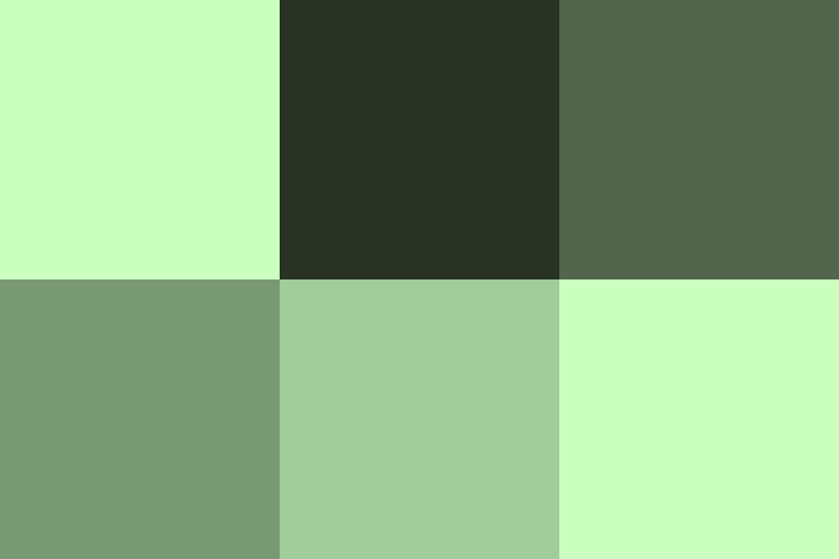 #caffbfの配色パターン 色の組み合わせ- 原色大辞典