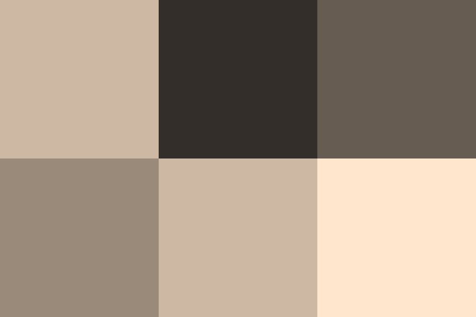 #ccb8a3の配色パターン 色の組み合わせ- 原色大辞典