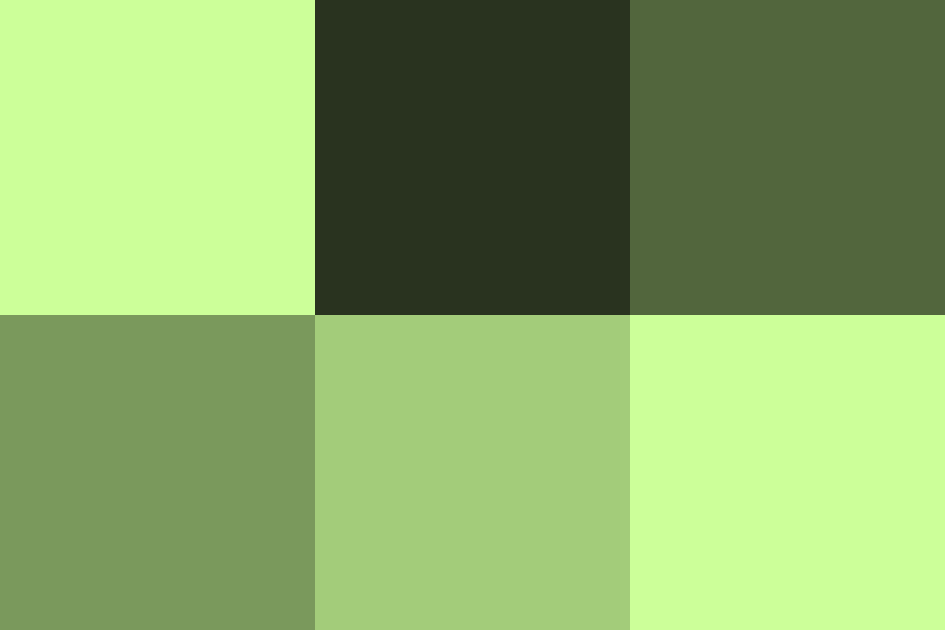 #ccff99の配色パターン 色の組み合わせ- 原色大辞典