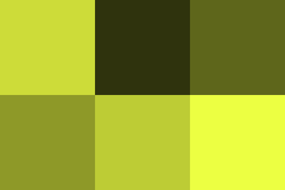 #cddc39の配色パターン 色の組み合わせ- 原色大辞典