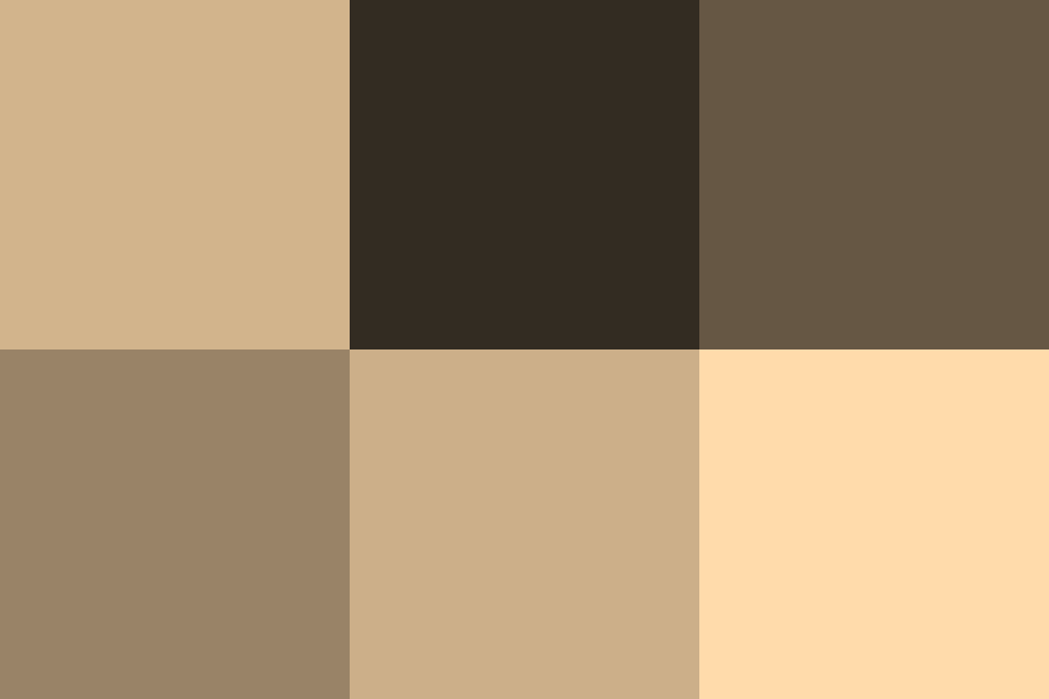 #d2b48cの配色パターン 色の組み合わせ- 原色大辞典