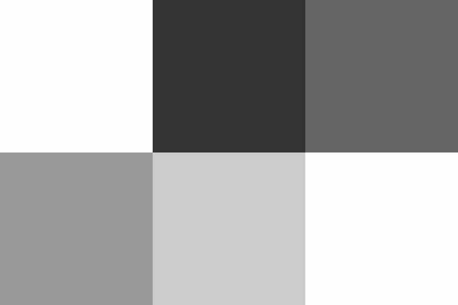 #fefefeの配色パターン 色の組み合わせ- 原色大辞典