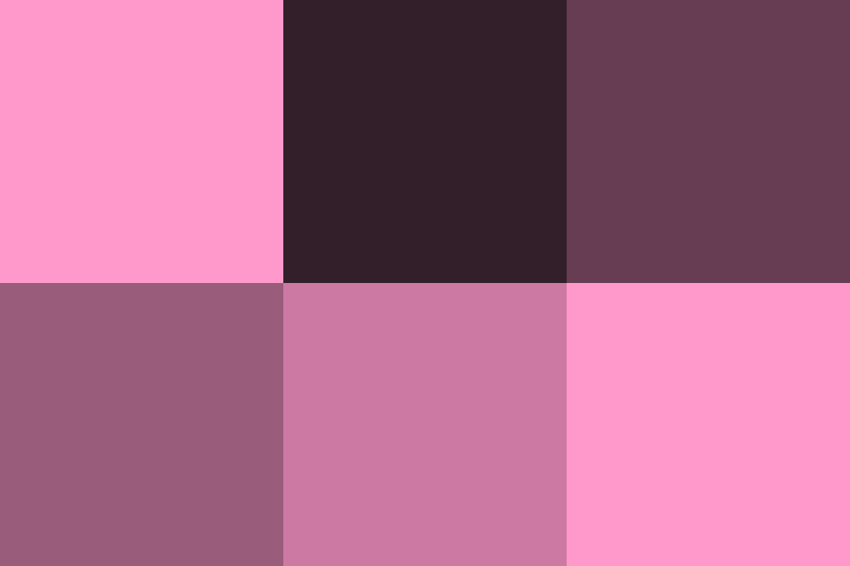 #ff99ccの配色パターン 色の組み合わせ- 原色大辞典