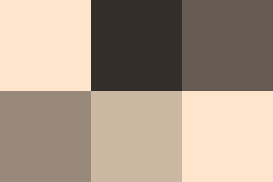 #ffe5ccの配色パターン 色の組み合わせ- 原色大辞典