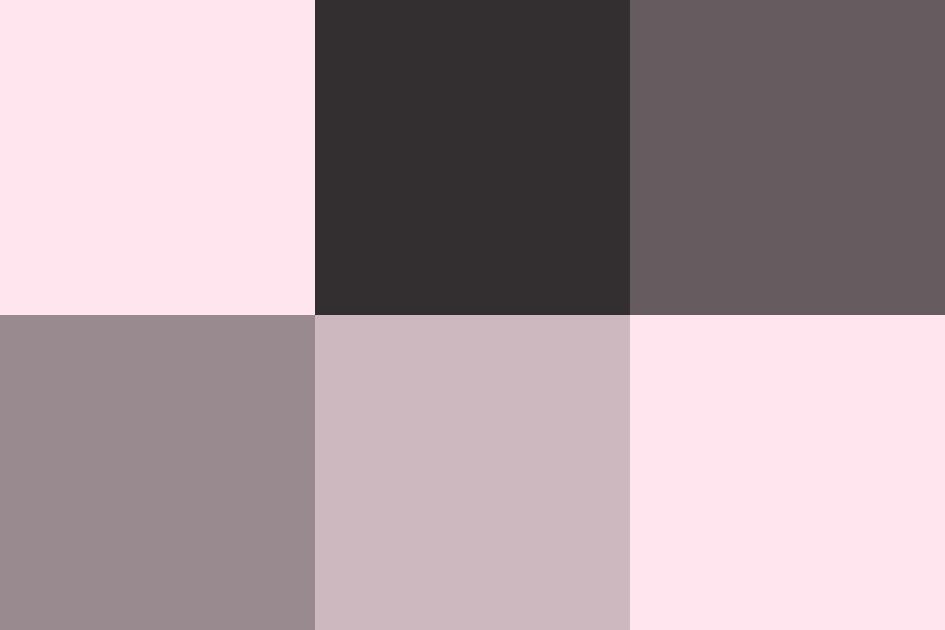 #ffe6eeの配色パターン 色の組み合わせ- 原色大辞典