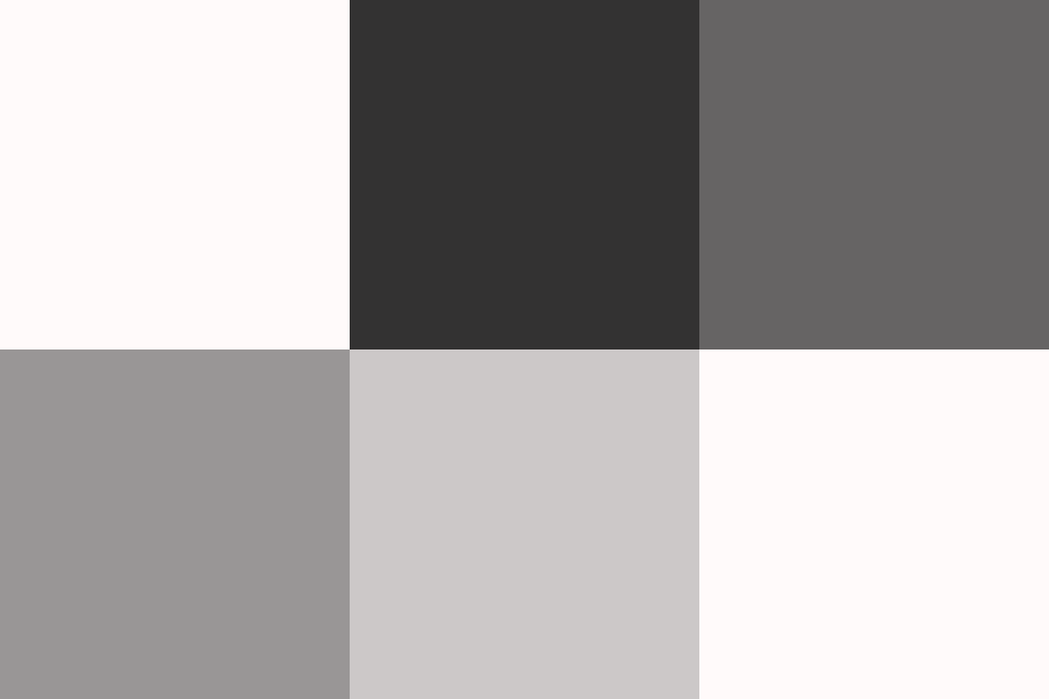 #fffafaの配色パターン 色の組み合わせ- 原色大辞典